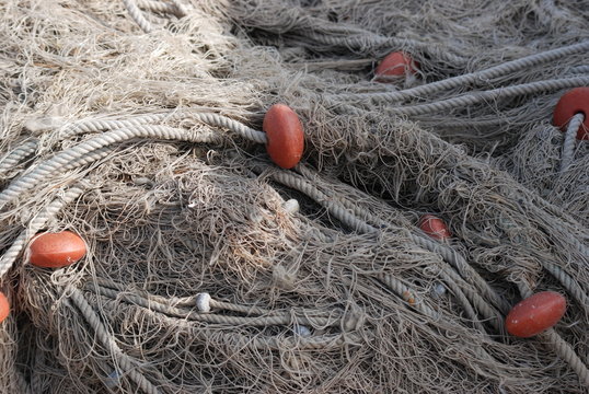 Ffff Images – Browse 33 Stock Photos, Vectors, and Video | Adobe Stock