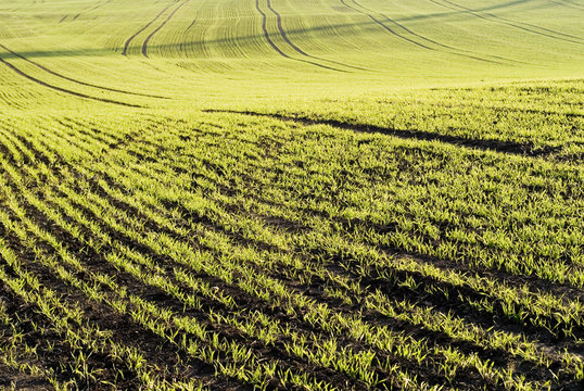 Ackerfurchen bilder – Bläddra bland 396 stockfoton, vektorer och videor ...