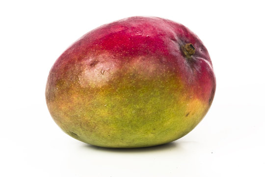 Manguier 이미지 – 찾아보기 379 스톡 사진, 벡터 및 비디오 | Adobe Stock