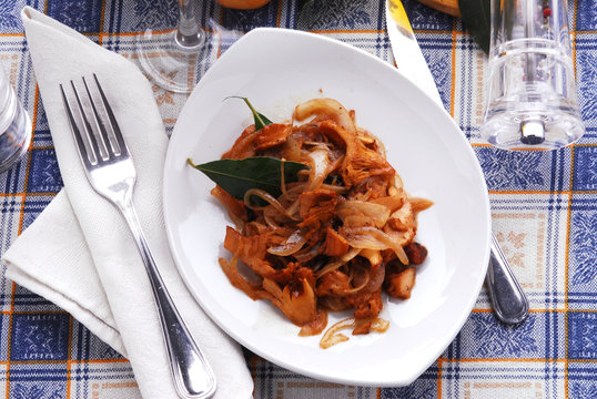 Finferlo Bilder – Durchsuchen 123 Archivfotos, Vektorgrafiken und ...