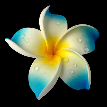 166 IMAGES, PHOTOS ET ILLUSTRATIONS VECTORIELLES STOCK APPROPRIÉES SUR ...