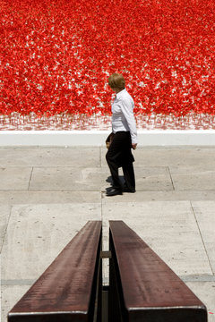 Paseante Images – Browse 95 Stock Photos, Vectors, and Video | Adobe Stock