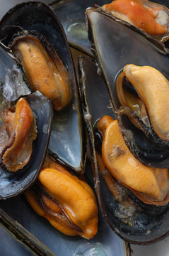 「Pedoci」の画像 - 197 件の Stock 写真、ベクターおよびビデオ | Adobe Stock