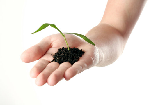 「Genmanipuliert」の画像 - 636 件の Stock 写真、ベクターおよびビデオ | Adobe Stock