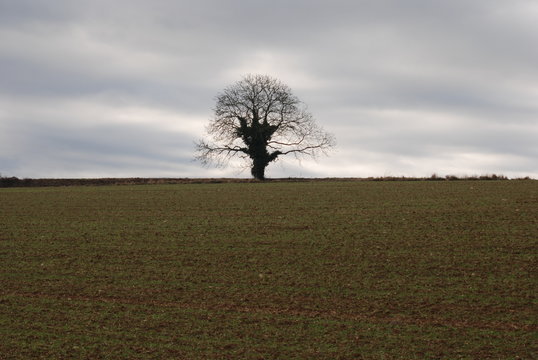 Ddfdfdf Images – Browse 1 Stock Photos, Vectors, and Video | Adobe Stock