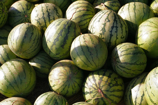 Melonen Mac Hintergrundbild