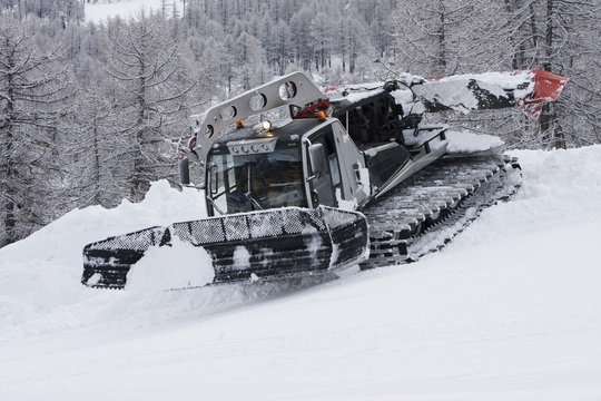 Ratraque Images – Browse 20 Stock Photos, Vectors, and Video | Adobe Stock