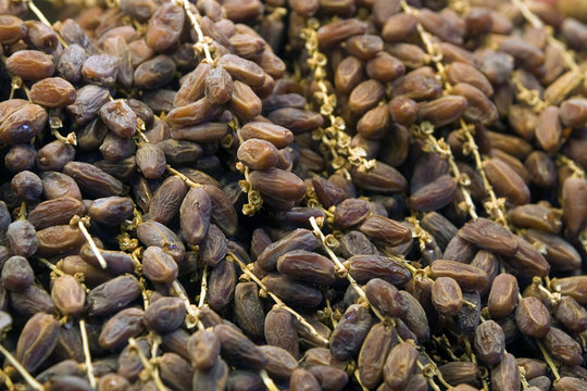 รูปภาพDatil – เลือกดูภาพถ่ายสต็อก เวกเตอร์ และวิดีโอ1,217 | Adobe Stock