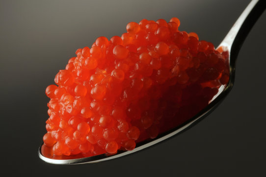 Lompi bilder – Bläddra bland 5 stockfoton, vektorer och videor | Adobe ...