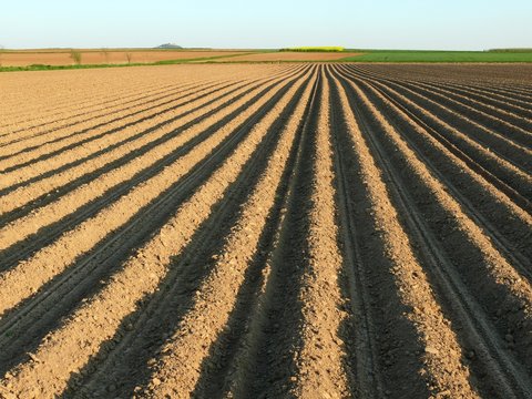 Ackerfurchen bilder – Bläddra bland 396 stockfoton, vektorer och videor ...