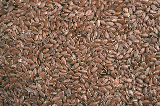Flix-Seeds Images – Browse 3 Stock Photos, Vectors, and Video | Adobe Stock