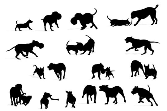 Playing Dog Silhouette