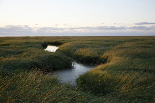 Imágenes de Marschland: descubre bancos de fotos, ilustraciones ...