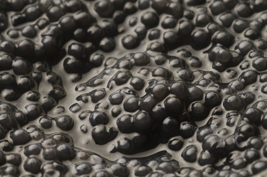 Lompi Images – Browse 5 Stock Photos, Vectors, and Video | Adobe Stock