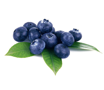 Wimberry bilder – Bläddra bland 141,015 stockfoton, vektorer och videor ...