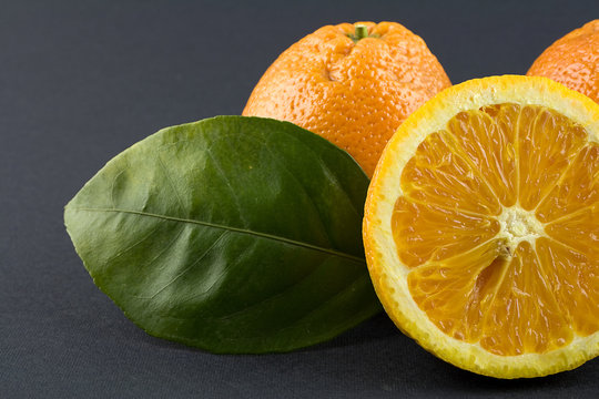 「Arancie」の写真素材 | 229件の無料イラスト画像 | Adobe Stock