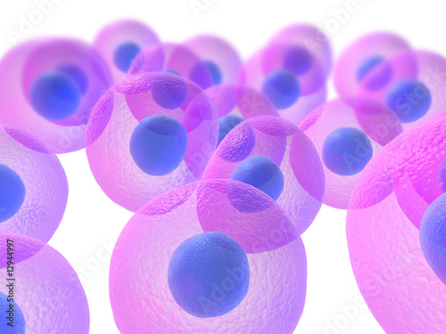 "zellen mit zellkern" Stockfotos und lizenzfreie Bilder auf Fotolia.com ...