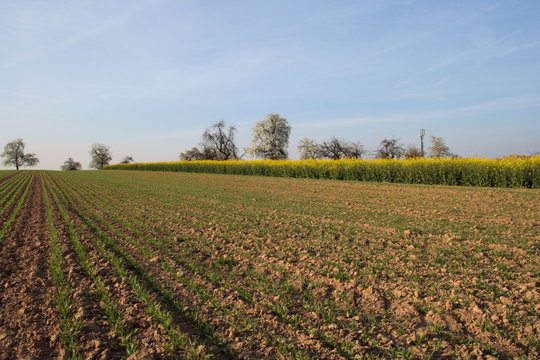 รูปภาพKeimend – เลือกดูภาพถ่ายสต็อก เวกเตอร์ และวิดีโอ117 | Adobe Stock