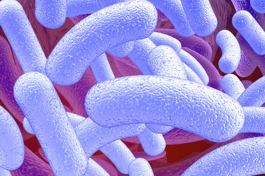 รูปภาพBacillus – เลือกดูภาพถ่ายสต็อก เวกเตอร์ และวิดีโอ48,513 | Adobe Stock