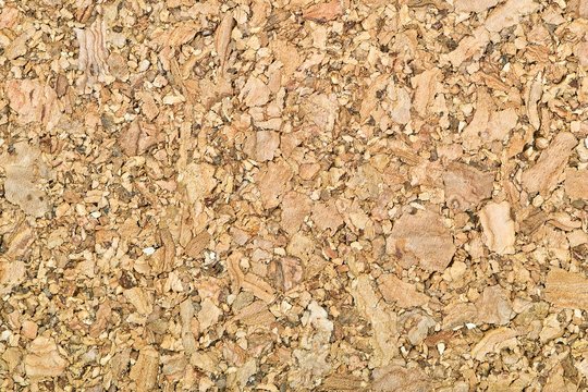 Corkwood bilder – Bläddra bland 1,033 stockfoton, vektorer och videor ...