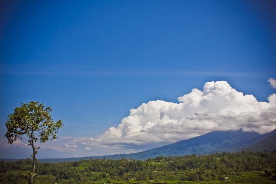 Singaraja Images – Browse 274 Stock Photos, Vectors, and Video | Adobe ...