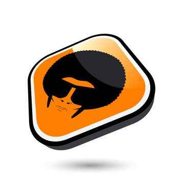 Enwurf Bilder – Durchsuchen 44 Archivfotos, Vektorgrafiken und Videos ...