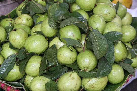 Goyave Images – Browse 199 Stock Photos, Vectors, and Video | Adobe Stock