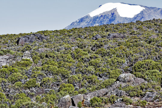 รูปภาพKibo – เลือกดูภาพถ่ายสต็อก เวกเตอร์ และวิดีโอ999 | Adobe Stock