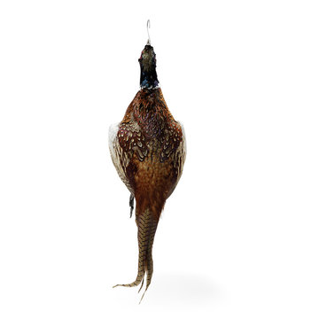 0001 Bilder – Durchsuchen 551 Archivfotos, Vektorgrafiken und Videos ...