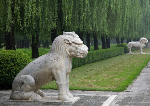 รูปภาพ"Platik – เลือกดูภาพถ่ายสต็อก เวกเตอร์ และวิดีโอ178 | Adobe Stock