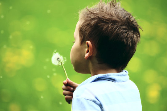 Imágenes de Kind Garten: descubre bancos de fotos, ilustraciones ...