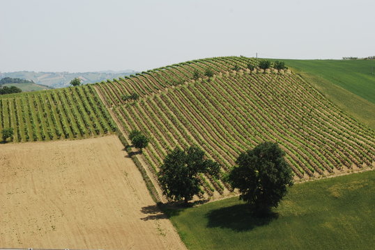 "Campi Coltivati" Bilder – Durchsuchen 691 Archivfotos, Vektorgrafiken ...