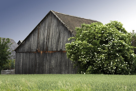 Holzscheune - Images et vidéos libres de droits | Adobe Stock