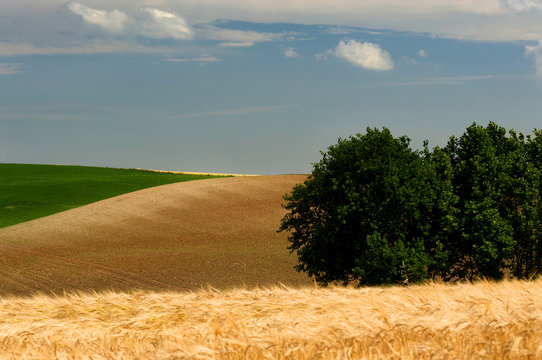 "Campi Coltivati"-Bilder: Stock-Fotos & -Videos. | Adobe Stock