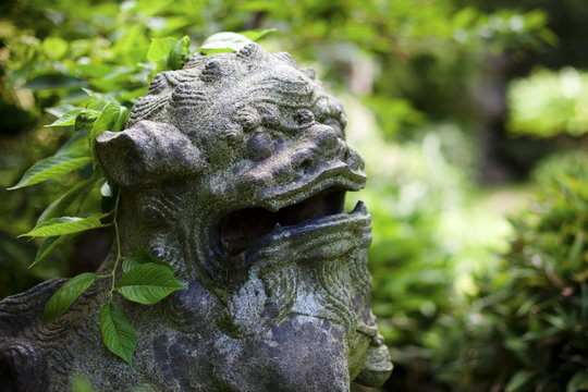 Chinoise bilder – Bläddra bland 16,494 stockfoton, vektorer och videor ...