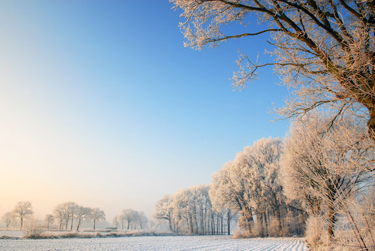 dzain photos, images, assets | Adobe Stock