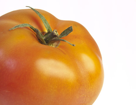 Bio-Tomate Images – Browse 38 Stock Photos, Vectors, and Video | Adobe ...