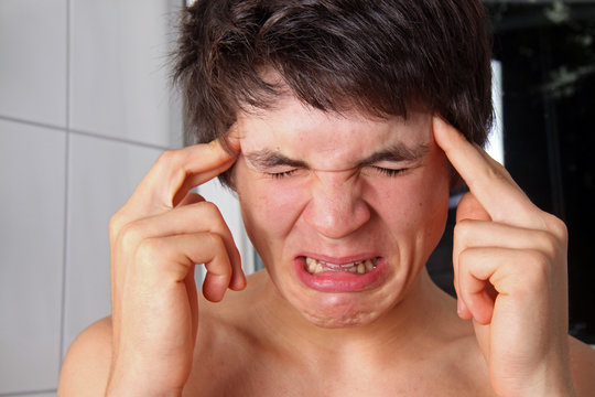 Heulsuse Images – Browse 25 Stock Photos, Vectors, and Video | Adobe Stock