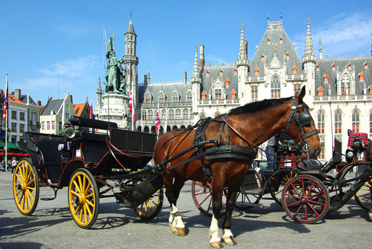 Horse-Driven Images – Browse 273 Stock Photos, Vectors, and Video ...