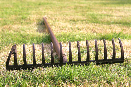 Harke Bilder – Durchsuchen 2,158 Archivfotos, Vektorgrafiken und Videos ...