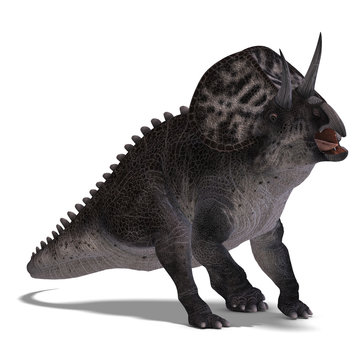 Imágenes de Coronosauria: descubre bancos de fotos, ilustraciones ...