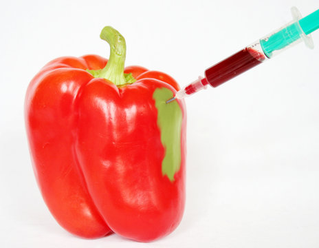 Genmanipuliert Bilder – Durchsuchen 642 Archivfotos, Vektorgrafiken und ...