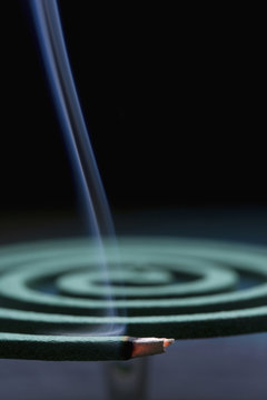 「蚊取り線香」の画像 - 3,417 件の Stock 写真、ベクターおよびビデオ | Adobe Stock