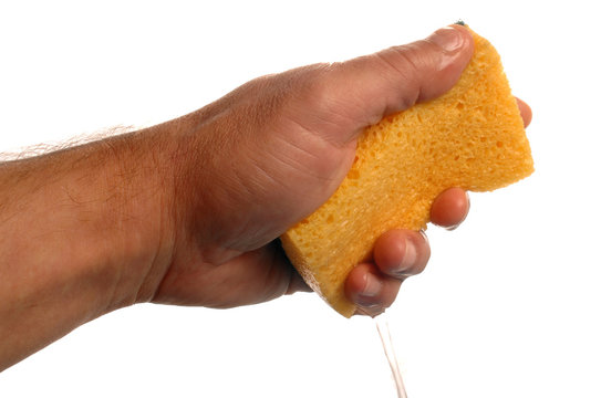 「Essorer」の画像 - 203 件の Stock 写真、ベクターおよびビデオ | Adobe Stock