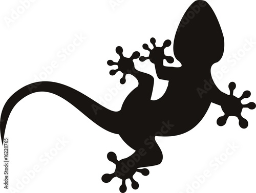 "vector gecko tattoo isolated on withe background" Stock image and ...
