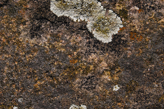 Ines Peters photos, images, assets | Adobe Stock