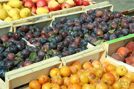 รูปภาพQuetche – เลือกดูภาพถ่ายสต็อก เวกเตอร์ และวิดีโอ12 | Adobe Stock