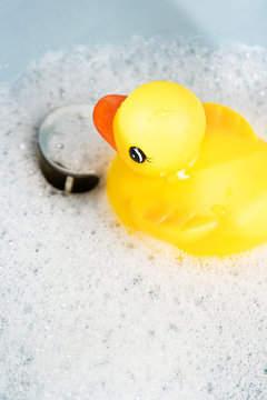 Badeente bilder – Bläddra bland 1,587 stockfoton, vektorer och videor ...