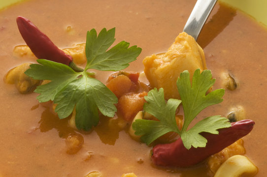 Pedoci Images – Browse 197 Stock Photos, Vectors, and Video | Adobe Stock