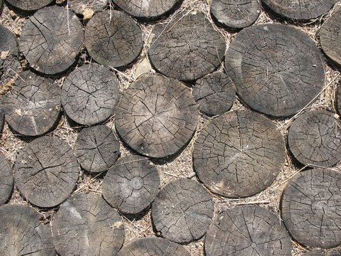 Billet-Wood Images – Browse 6 Stock Photos, Vectors, and Video | Adobe ...